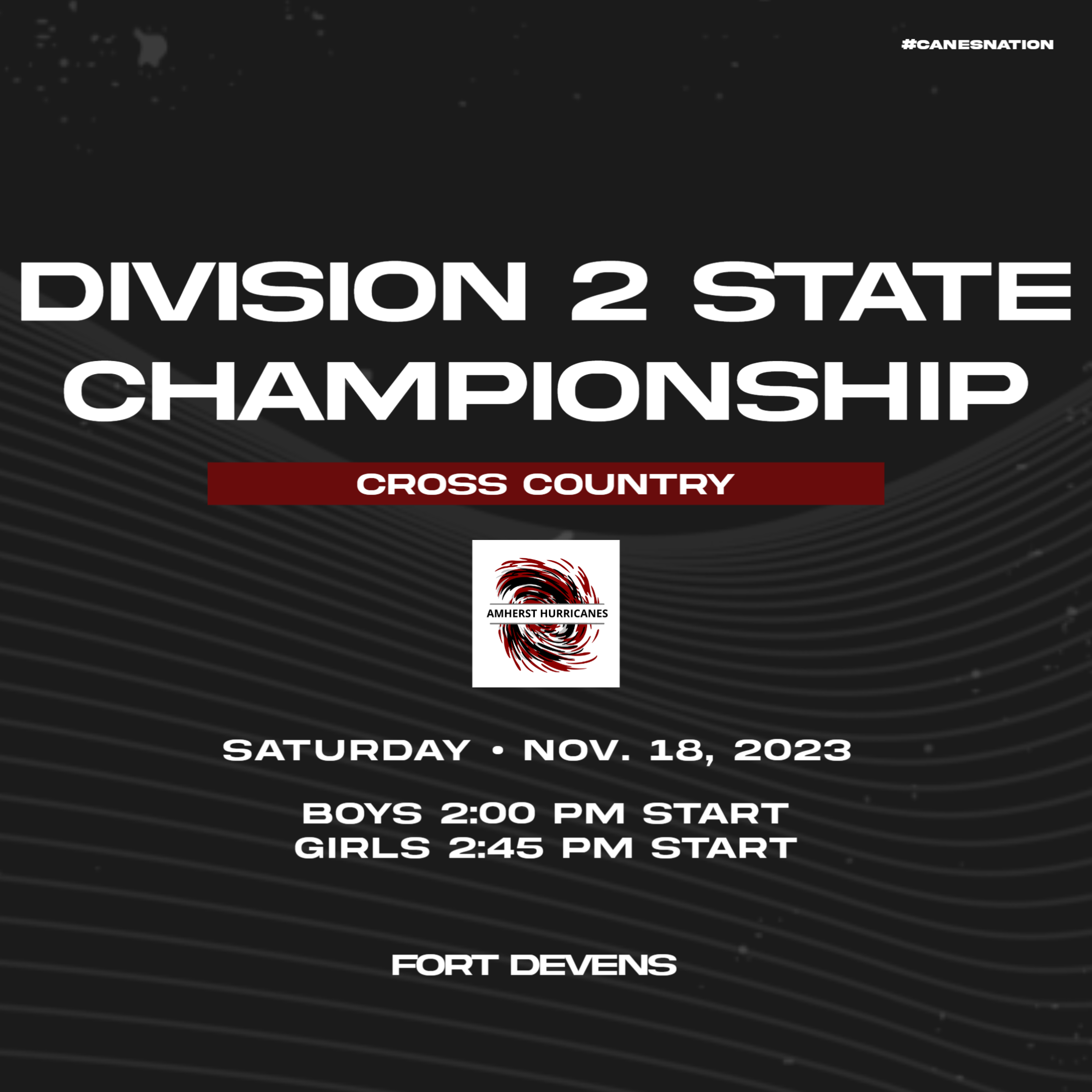 Cross country teams competing at state championships | ARHS PGO Parent News